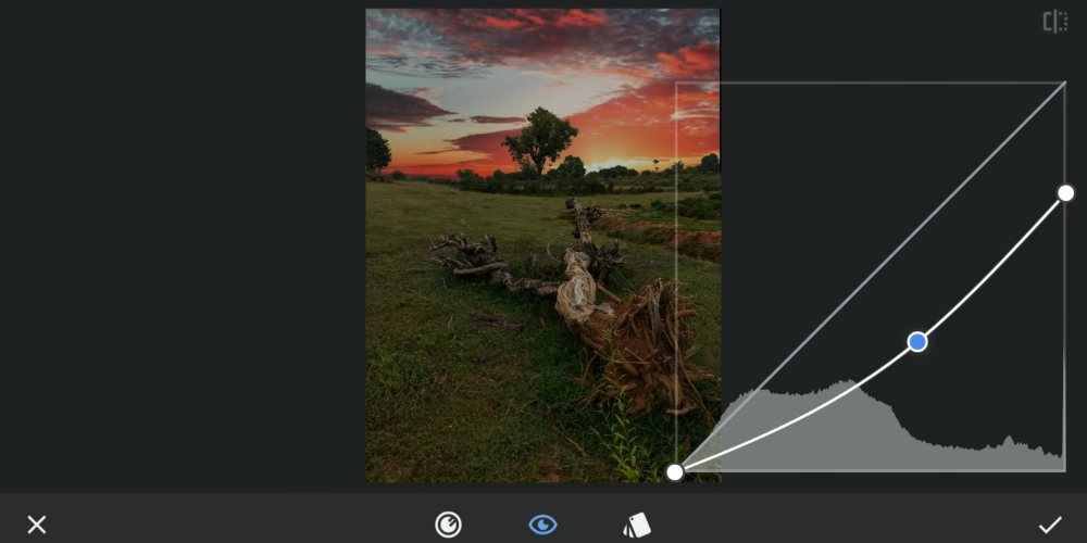 An Advanced Guide to Mobile Photography Using Snapseed